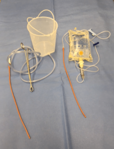 Feline Megacolon and Deobstipation • MSPCA-Angell