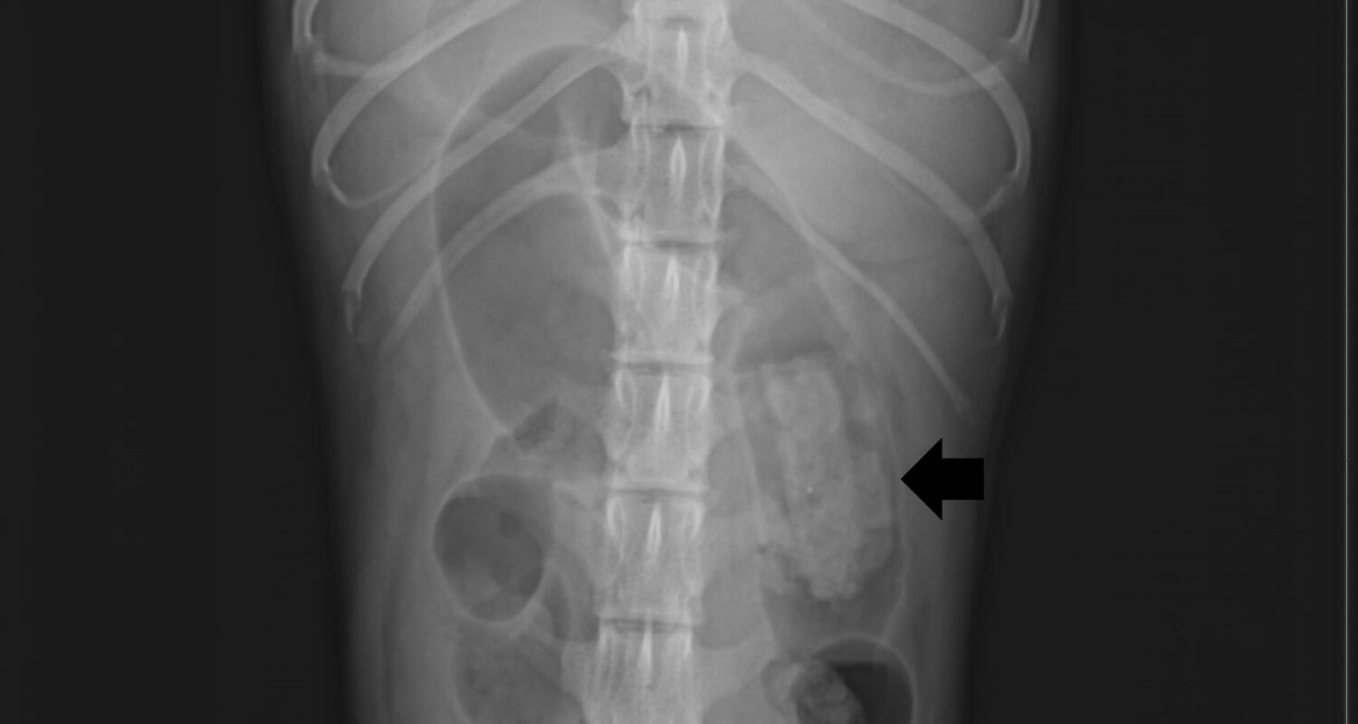 Index of /wp-content/uploads/2019/01/