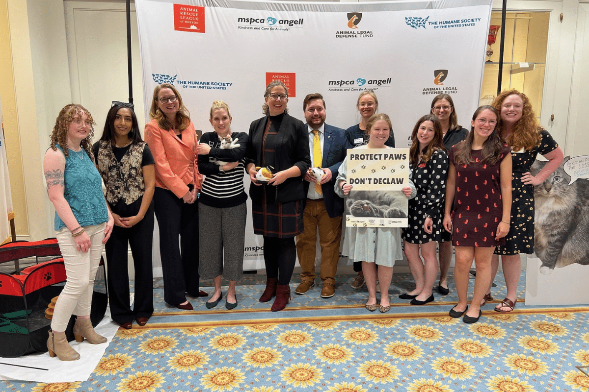 Legislation • MSPCA-Angell