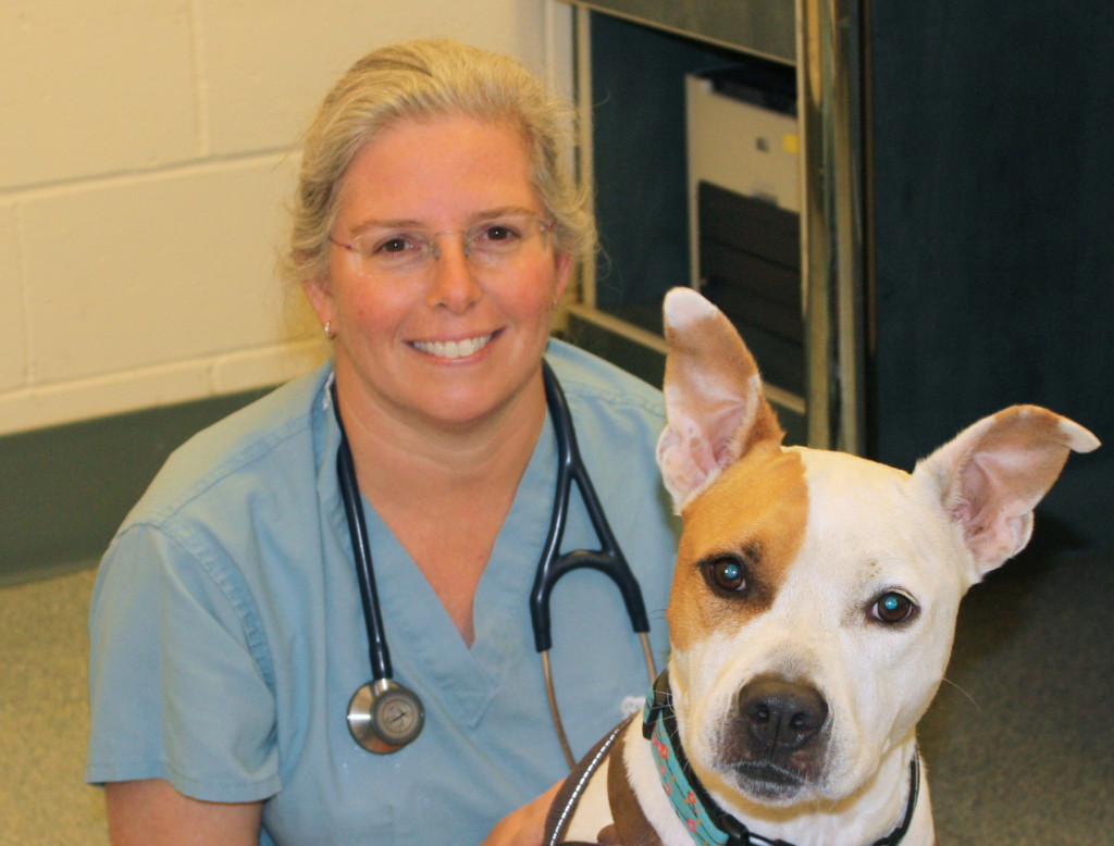 Index of /wp-content/uploads/unreferenced/2015/07/